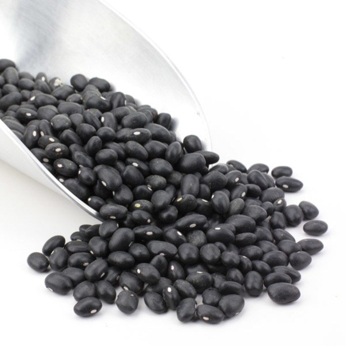 Jual Bibit Benih Kedelai Hitam Kecil (25 Butir) | Shopee Indonesia