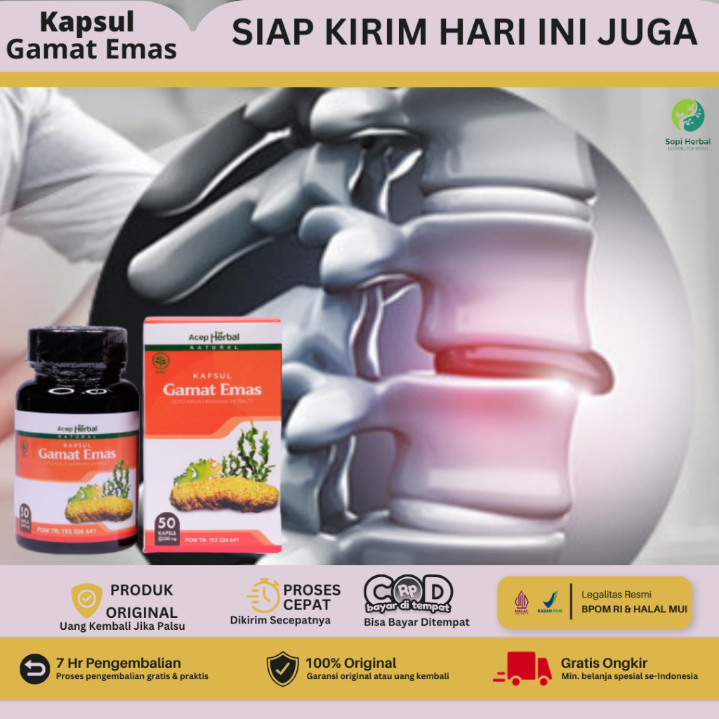 Jual Obat Saraf Kejepit Dan Sakit Pinggang Dan Tulang Belakang Nyeri ...