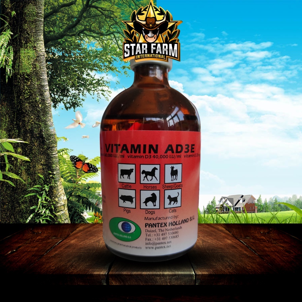 Jual Pantex Vitamin AD3E Injeksi 100ml - Star Farm | Shopee Indonesia