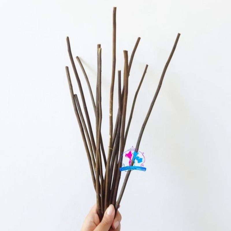 Jual ranting pohon kering untuk hiasan | Shopee Indonesia