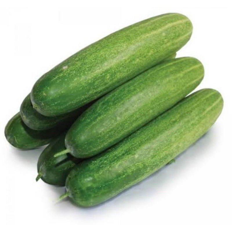 Jual SAYUR TIMUN LALAP 500gr | Shopee Indonesia