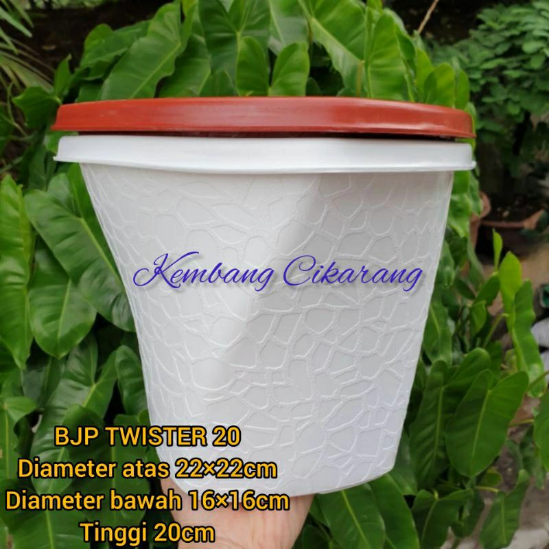 Jual (1pc) BJP TWISTER 20 (22*22) : pot bunga unik motif batu coral ...