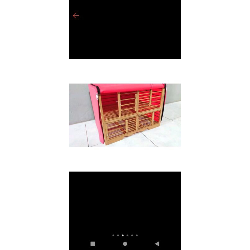 Jual kerodong krodong sangkrip burung merpati sangkar doro termurah ...