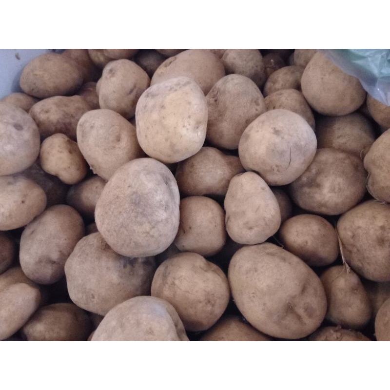 Jual Kentang Lokal 500 gram || 1000 gram | Shopee Indonesia