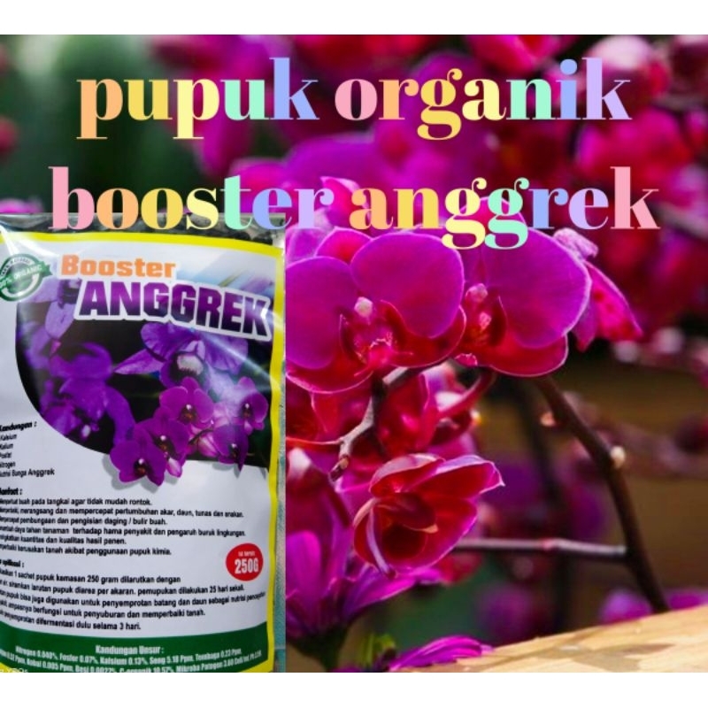 Jual Pupuk Organik Pelebat Tanaman dan Booster Bunga Anggrek Cepat ...