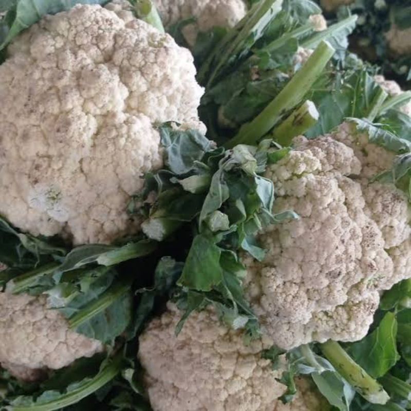 Jual Bunga Kol/ Kembang Kol 500gr | Shopee Indonesia