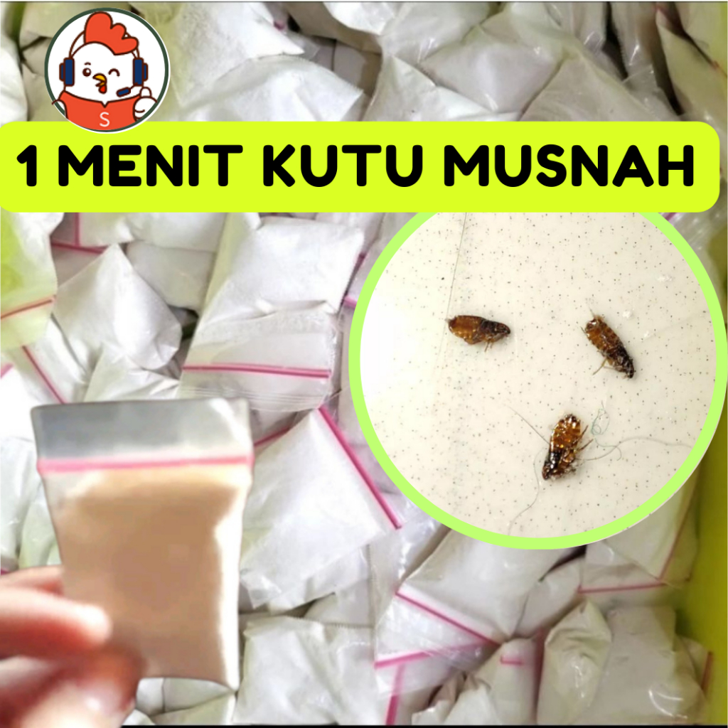 Jual obat kutu pinjal kucing ampuh 1 menit kutu ambyar | Shopee Indonesia