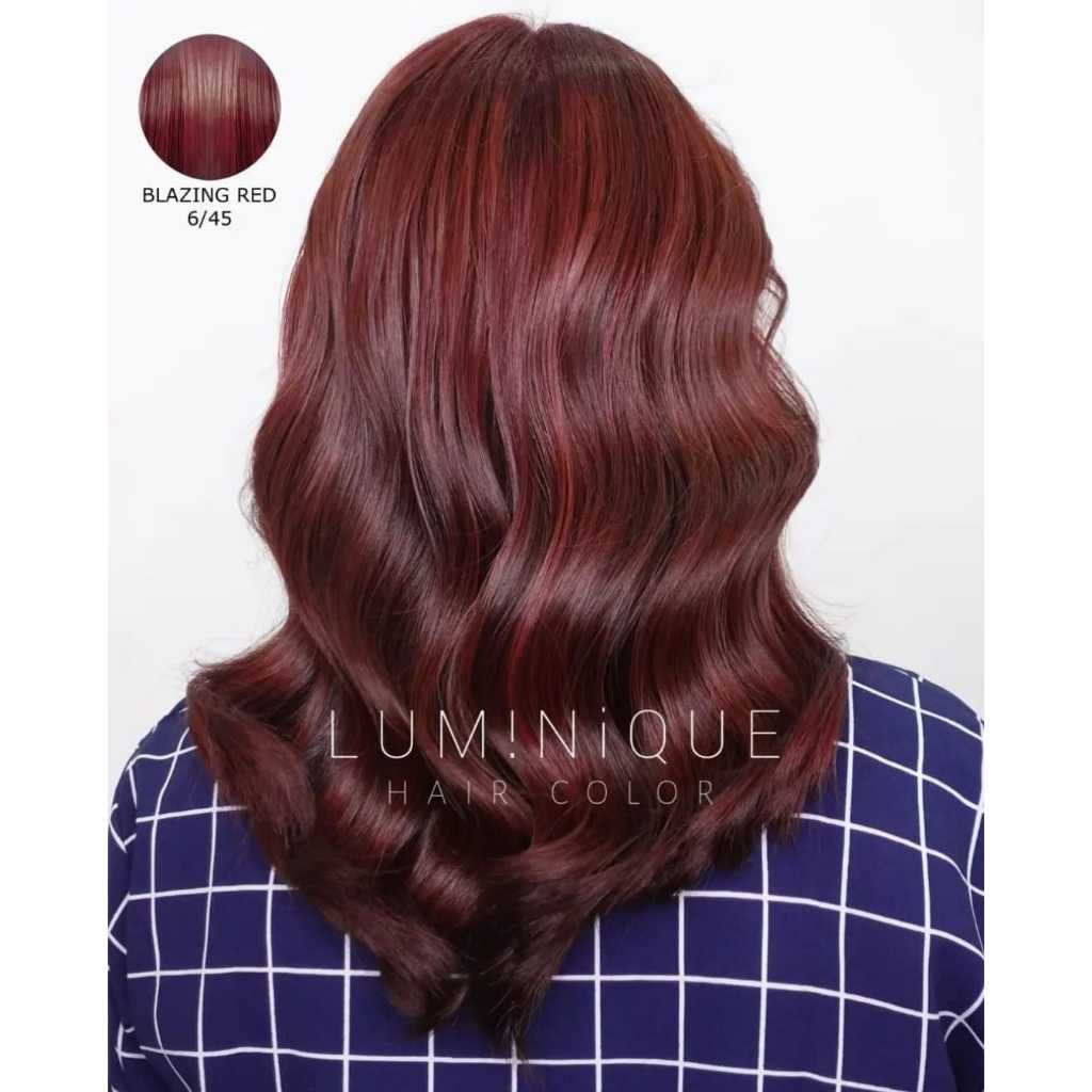 Jual LUMINIQUE Hair Color 100ml - Cat / Pewarna Rambut Semir | Shopee ...