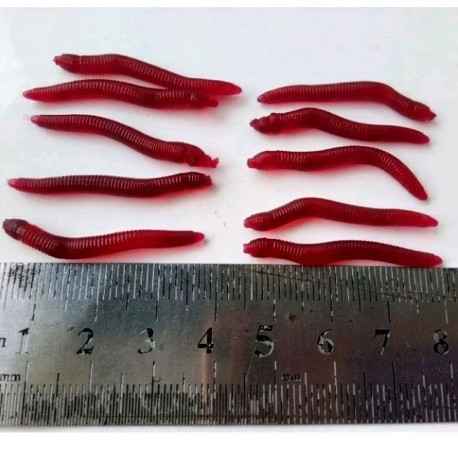 Jual 10 pcs / 5 pcs Umpan Mirip Cacing Laut Soft | Shopee Indonesia