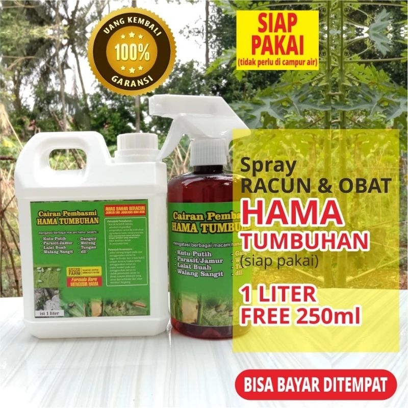 Jual OBAT HAMA TANAMAN | JAMUR TANAMAN DAUN | HAMA DAUN | ULAT DAUN ...