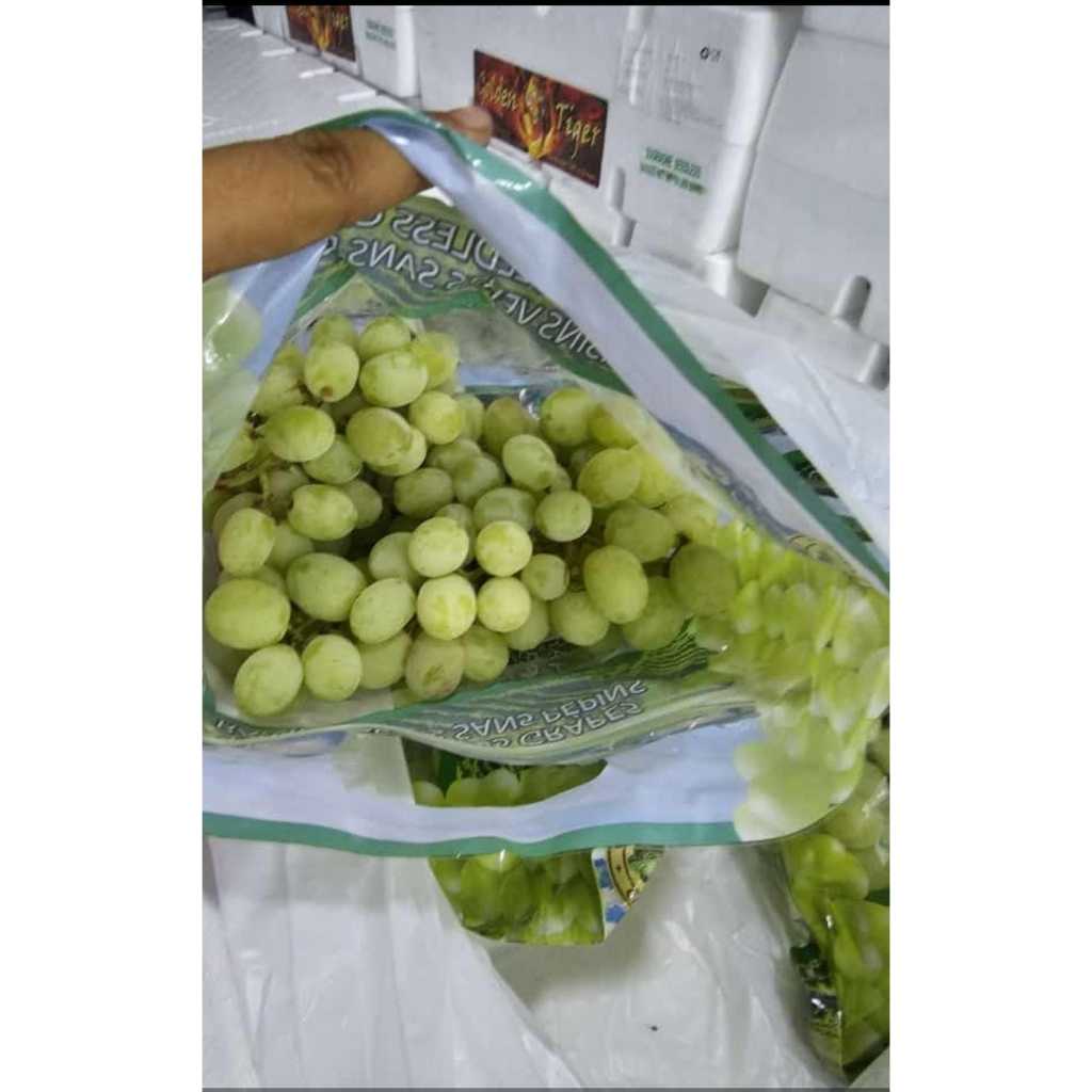 Jual anggur hijau australia 1 kg | Shopee Indonesia