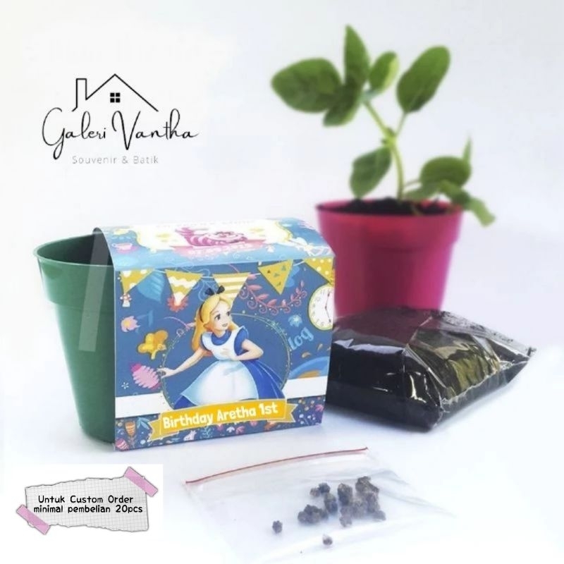Jual souvenir mini planting kit souvenir ulang tahun paket berkebun ...