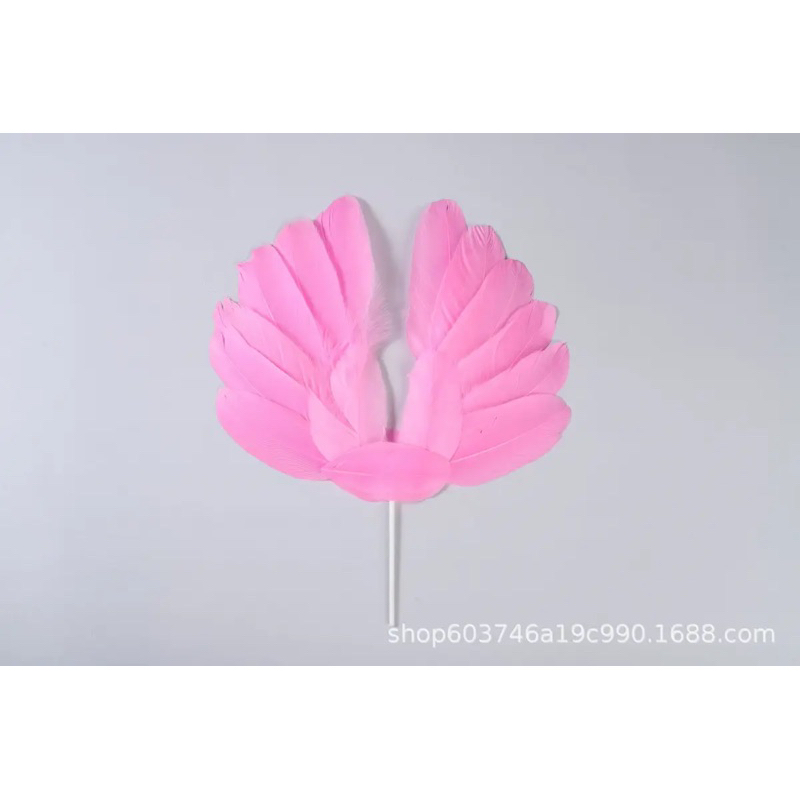 Jual topper kue pearl crown/ topper bulu ,topper mahkota /lampu LED ...