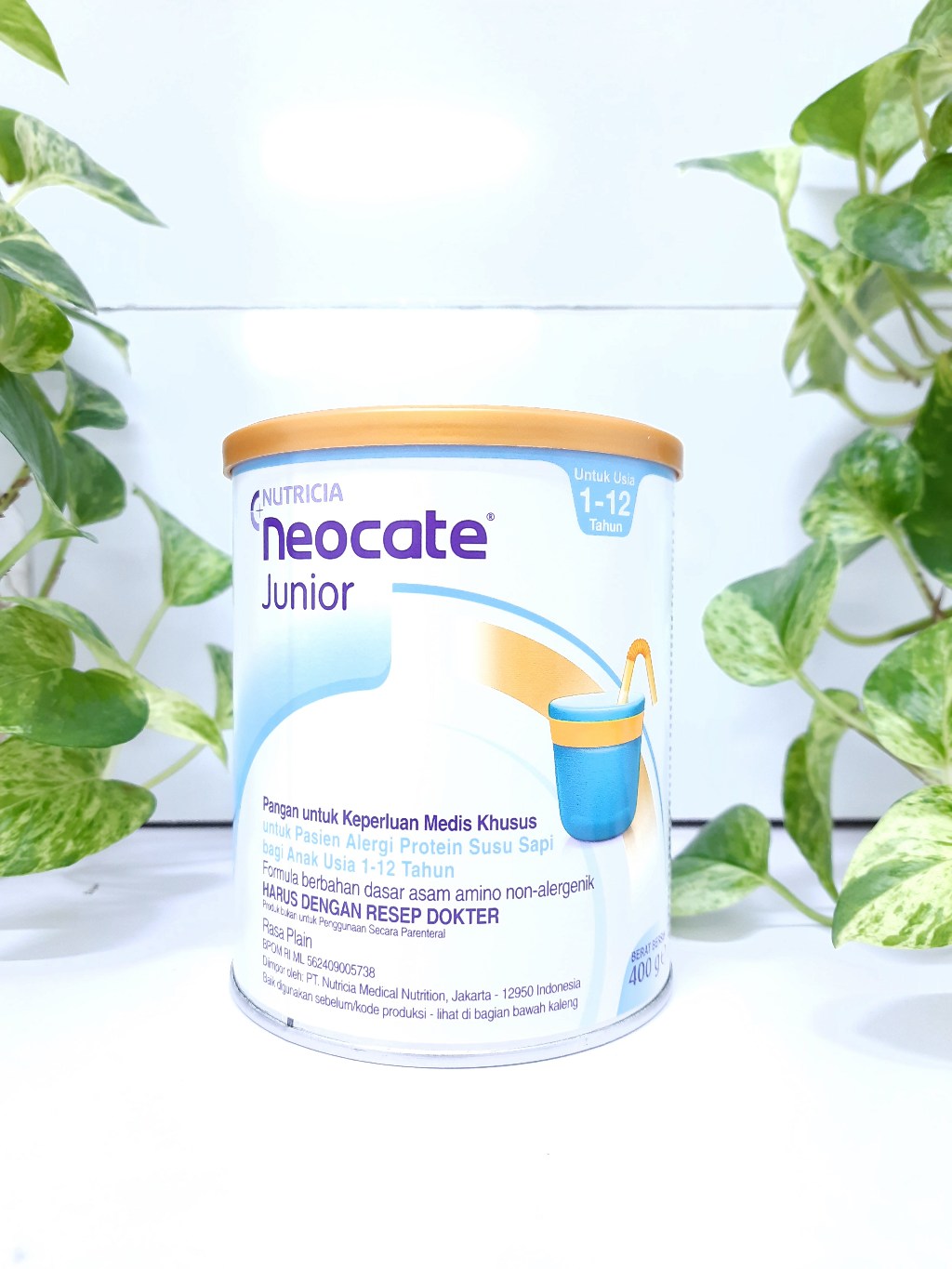 Jual NEOCATE JUNIOR CAN 400G | Shopee Indonesia