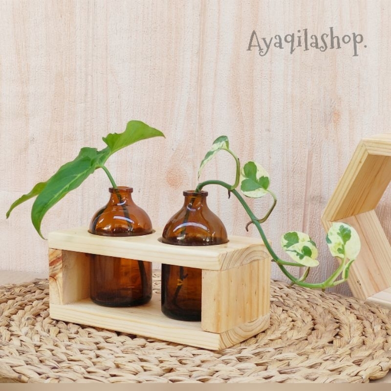 Jual 1 SET HIASAN MEJA AESTHETIC / VAS BUNGA TANAMAN HIAS AIR ESTETIK ...