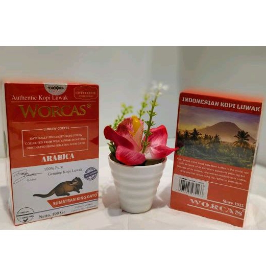 Jual WORCAS kopi luwak Arabica Gayo small box 100g | Shopee Indonesia