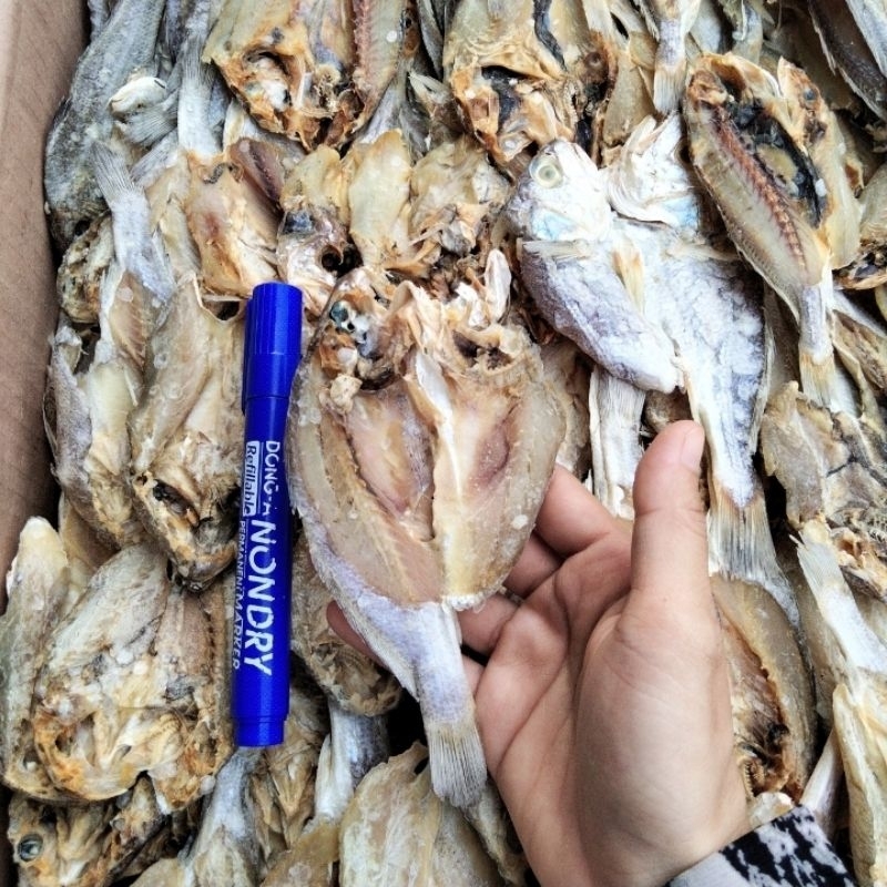 Jual Ikan belah gulama 500 gr | Shopee Indonesia