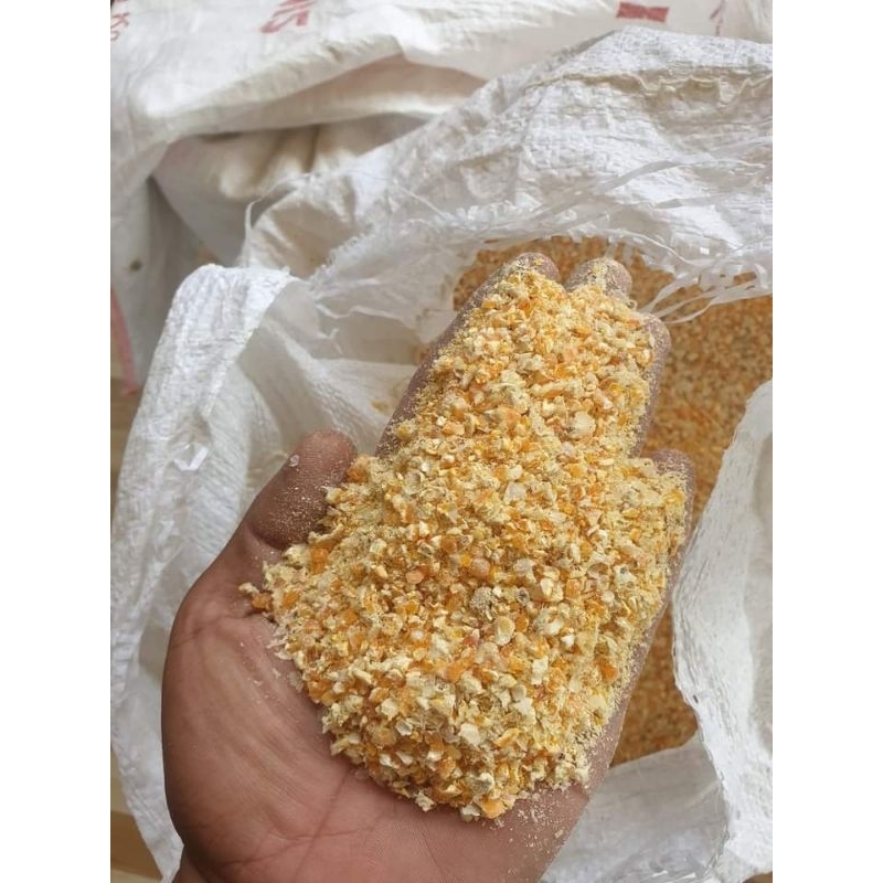 Jual JAGUNG GILING / Selep - Pakan Unggas / Ayam 1 Kg | Shopee Indonesia