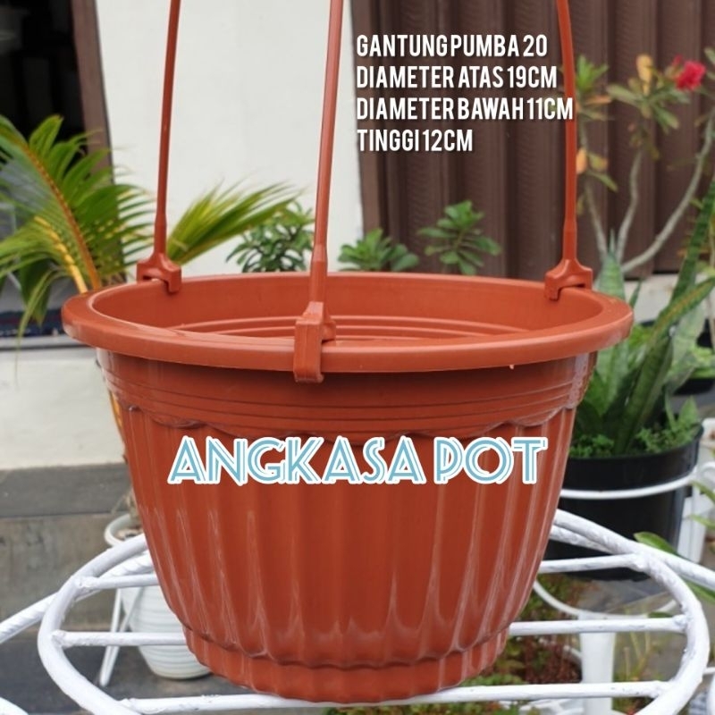 Jual Pot bunga gantung pumba 20 merah bata (19cm) - Pot gantung bagus ...