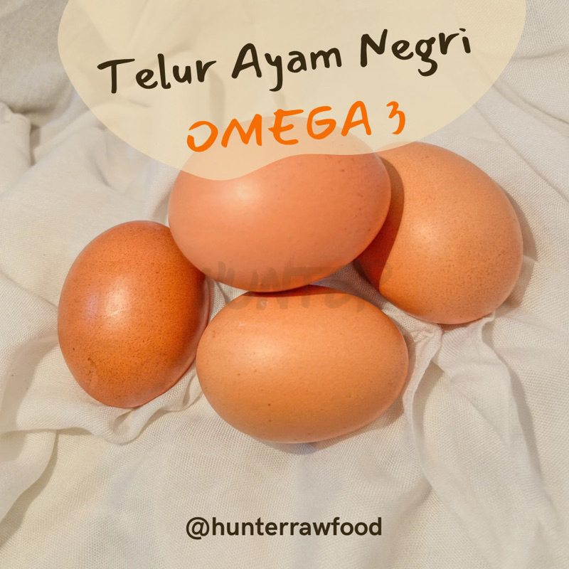 Jual TELUR AYAM OMEGA 10 BUTIR & 15 BUTIR | TELOR AYAM SEHAT ...