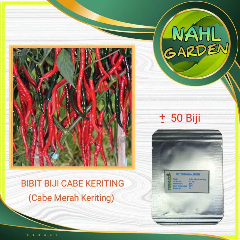 Jual BIJI BIBIT CABE KERITING (Cabe Merah Keriting) | Shopee Indonesia