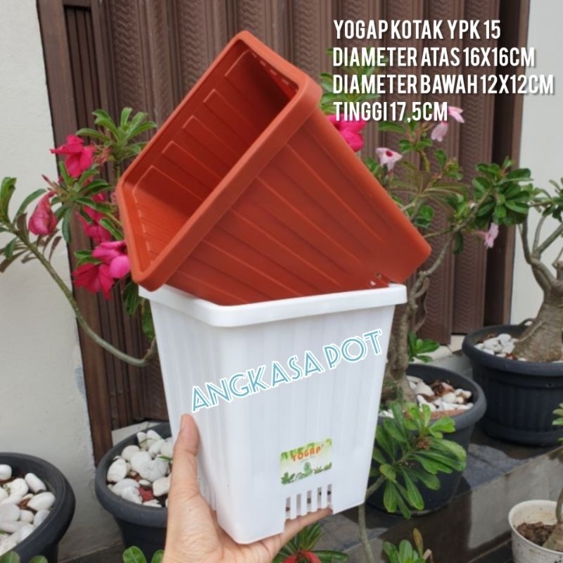 Jual YOGAP KOTAK YPK 15 Pot bunga pelastik Pot kotak Pot segi Pot Yogap ...