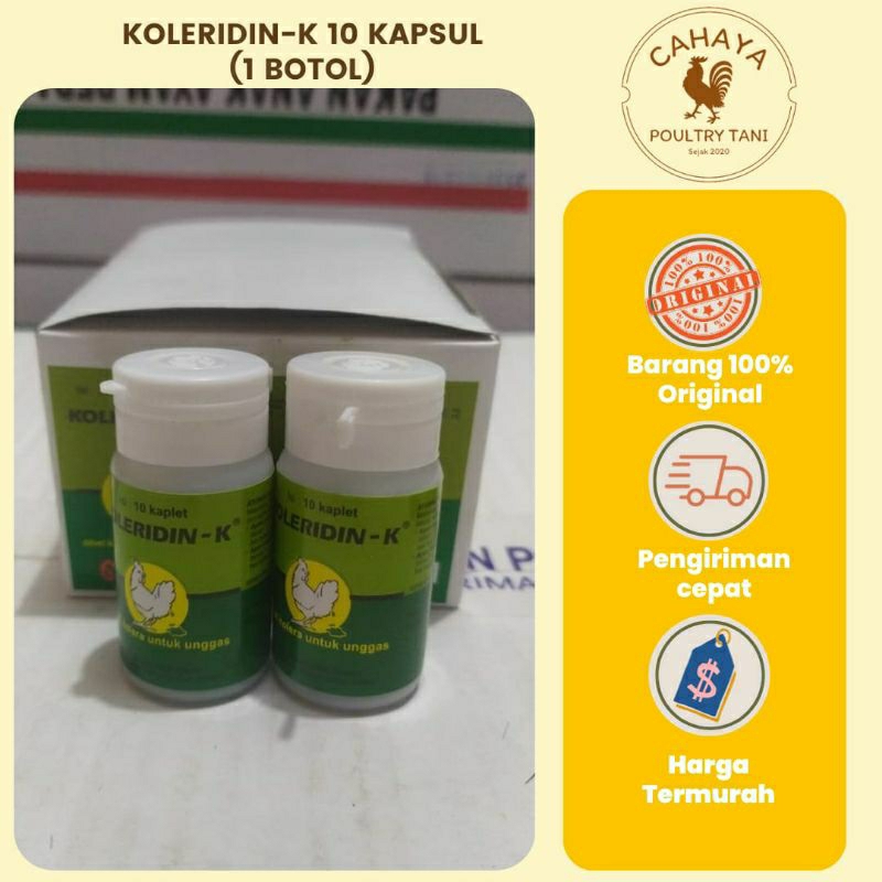 Jual Koleridin-K 10 Kapsul 1 Botol, Obat Berak Hijau Ayam | Shopee ...