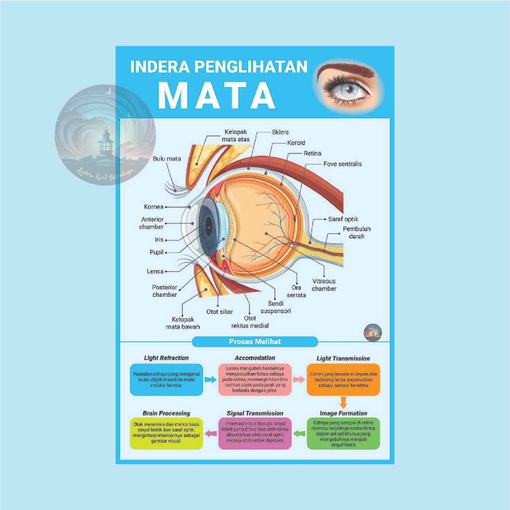Jual PAKET Poster Pendidikan Anak Usia Sekolah Pendidikan Anak SD SMP ...