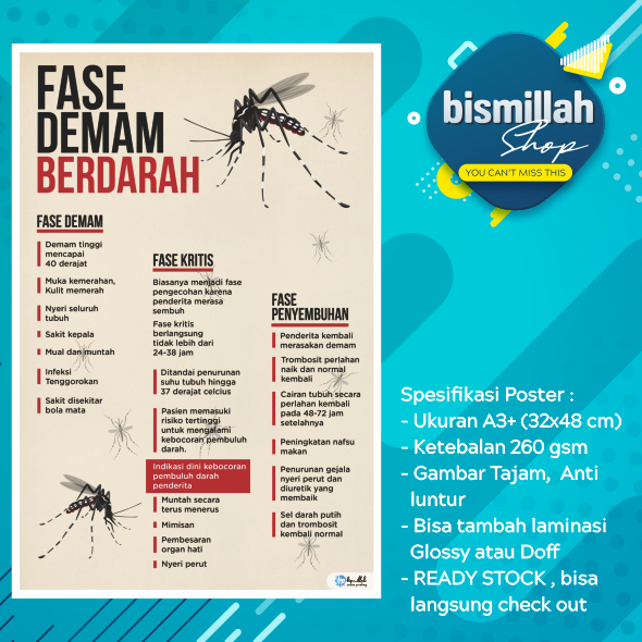 Jual Poster Fase demam berdarah | Shopee Indonesia