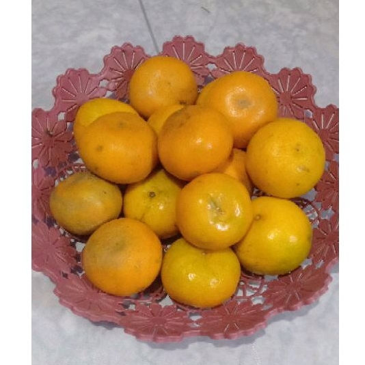 Jual Jeruk medan ukuran kecil 1kg dan 500gr | Shopee Indonesia