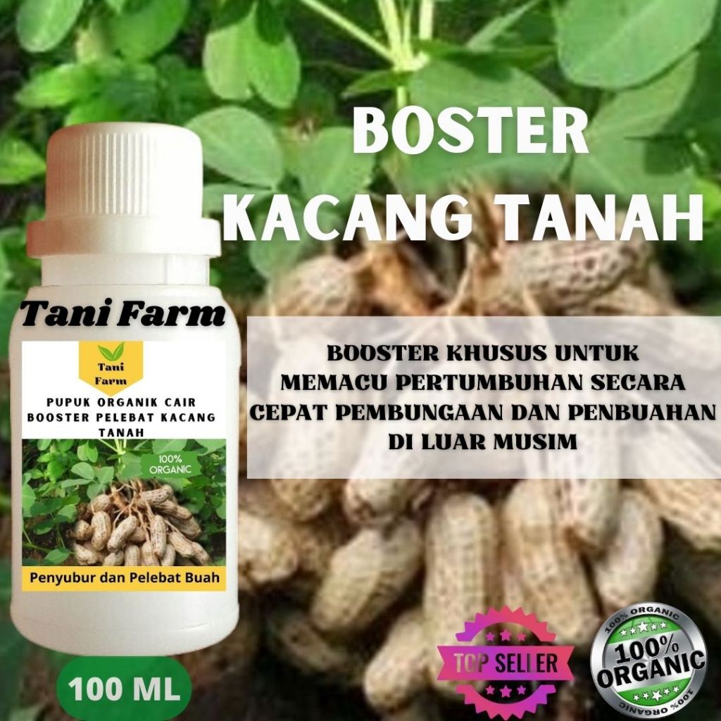 Jual Pupuk Booster Cair Kacang Tanah Melebatkan Di Luar Musim Bunga Buah Sayuran Maksimal Isi ...