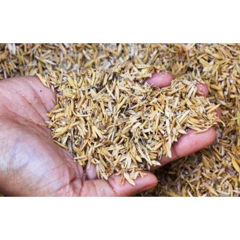 Jual MERANG PADI BUAT PUPUK 1kg | Shopee Indonesia
