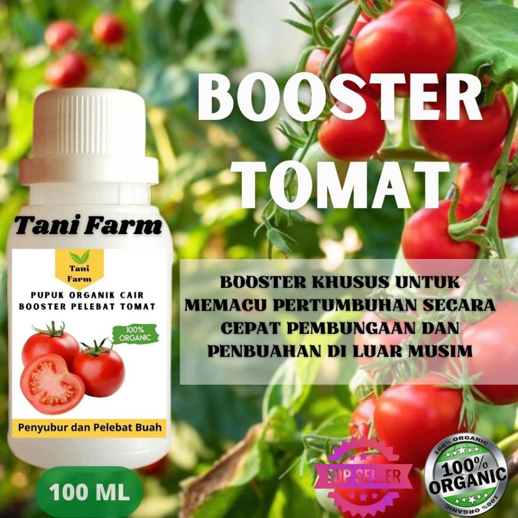 Jual Pupuk Booster Cair Tomat Melebatkan Di Luar Musim Bunga Buah Sayuran Maksimal Isi 100ML ...