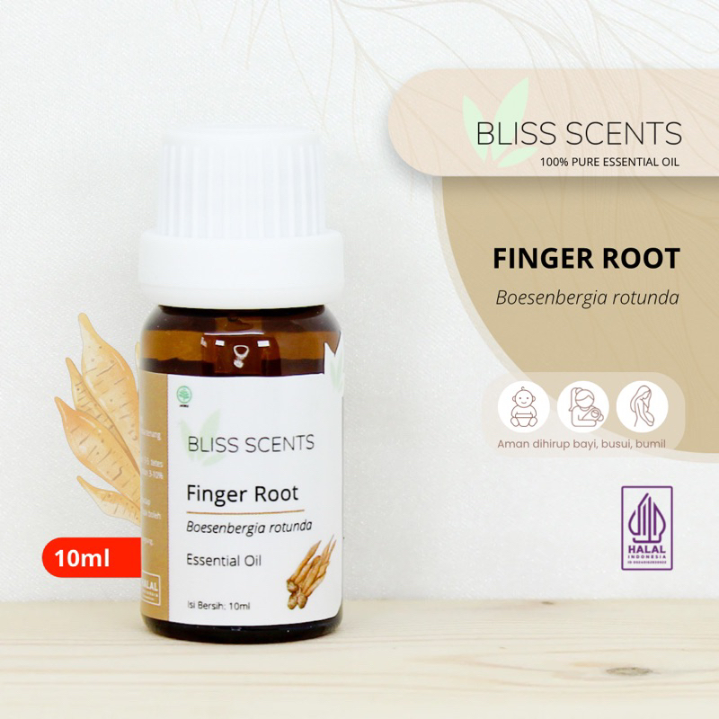 Jual Finger Root / Temu Kunci Essential Oil 100% Murni | Shopee Indonesia