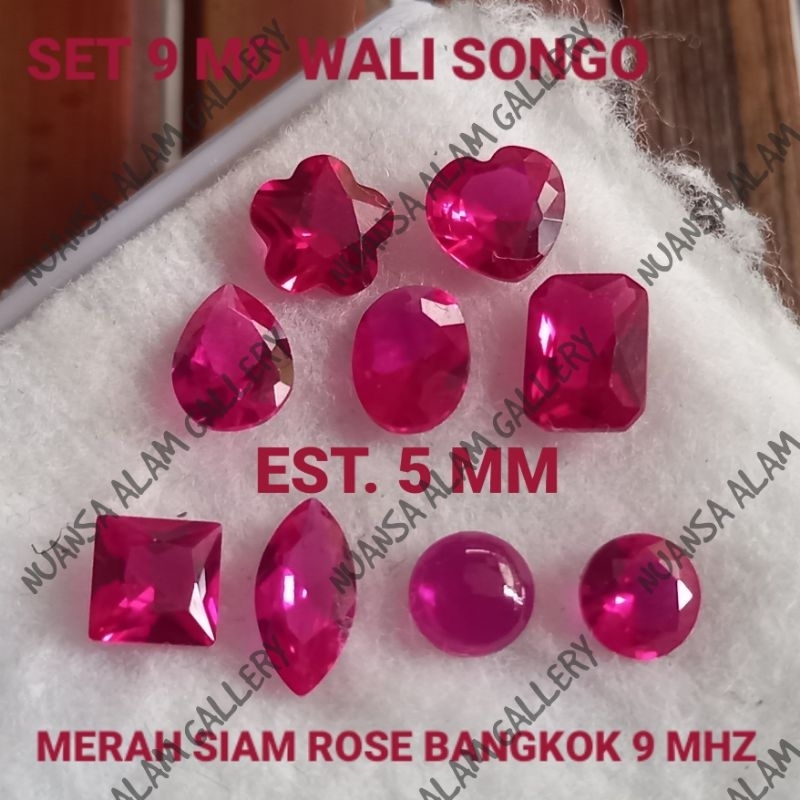 Jual Set Sembilan Jenis Bentuk Batu Merah Delima MD Merah Siam Rose ...