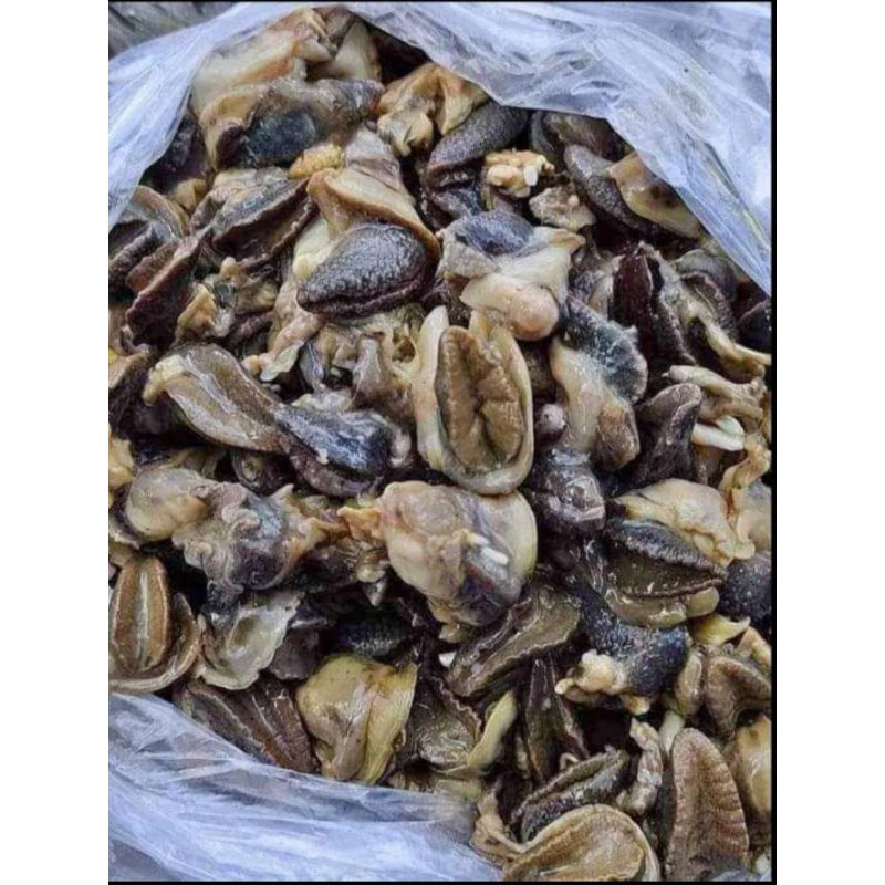 Jual daging bekicot 02 masih segar fress isi 1kg | Shopee Indonesia