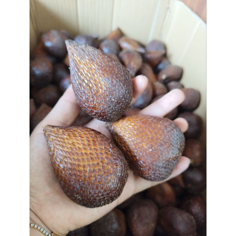 Jual BUAH SALAK PONDOH PAKET 3KG | Shopee Indonesia