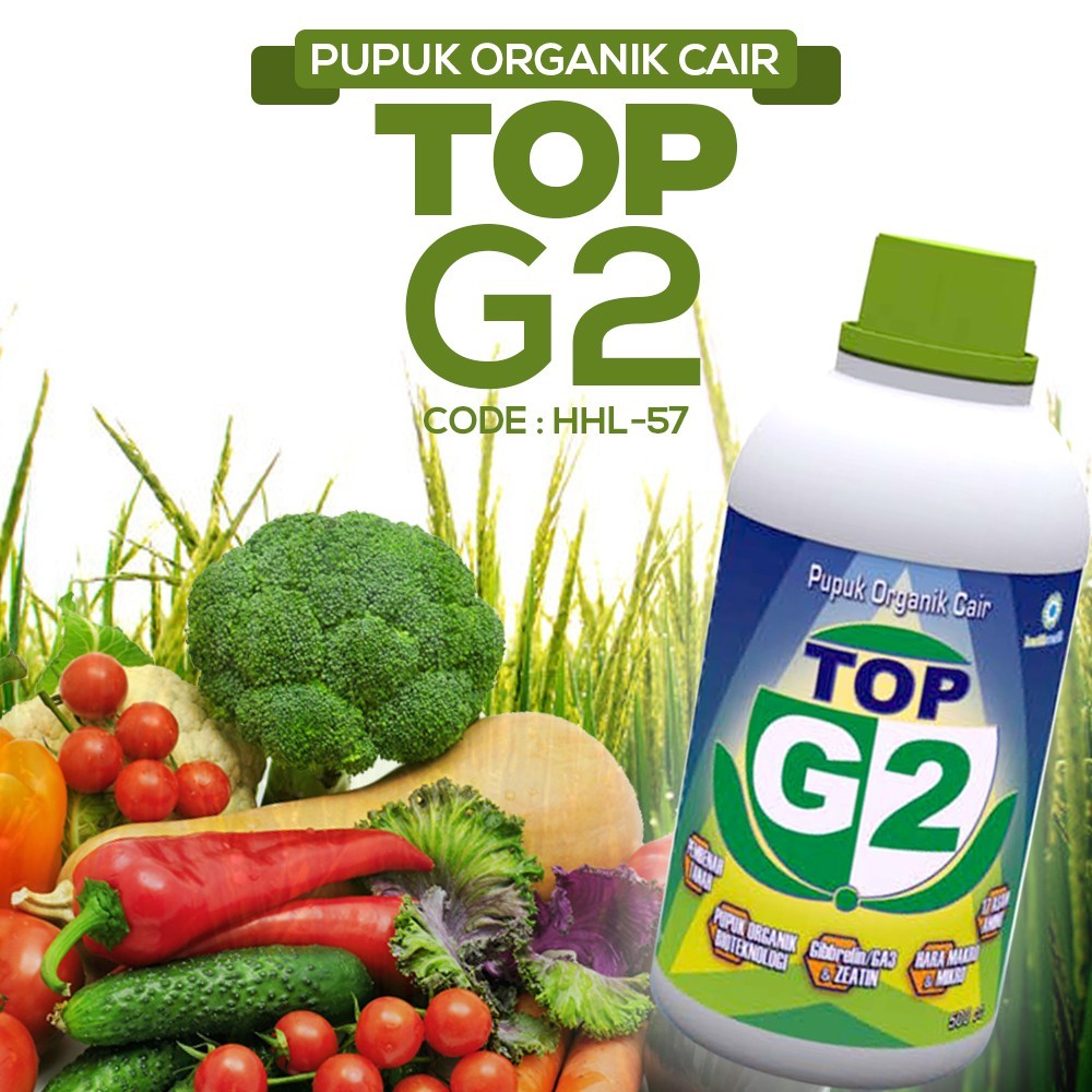 Jual Pupuk TOP G2/Tanaman Top G2 | Shopee Indonesia