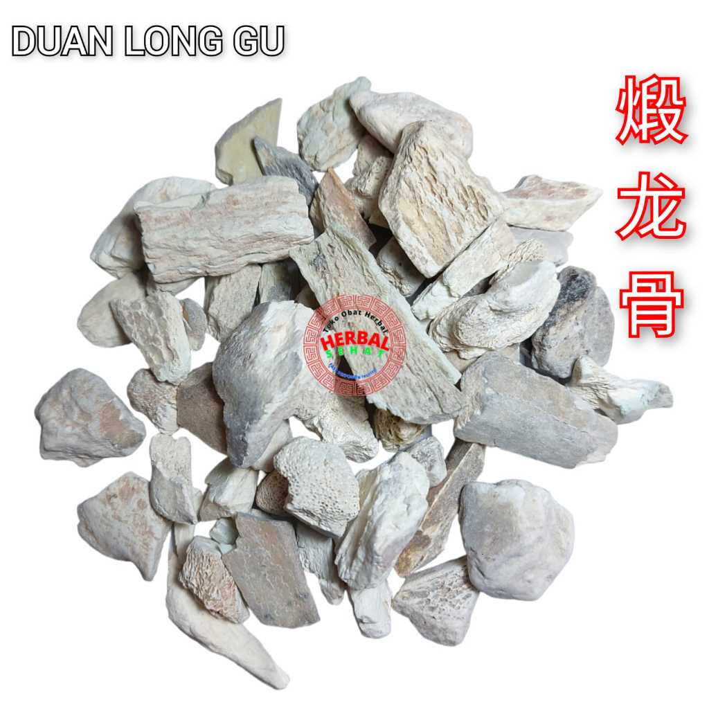 Jual Duan Long Gu 600gram 煅龙骨 Processed Dragon Bone Os Draconis ...
