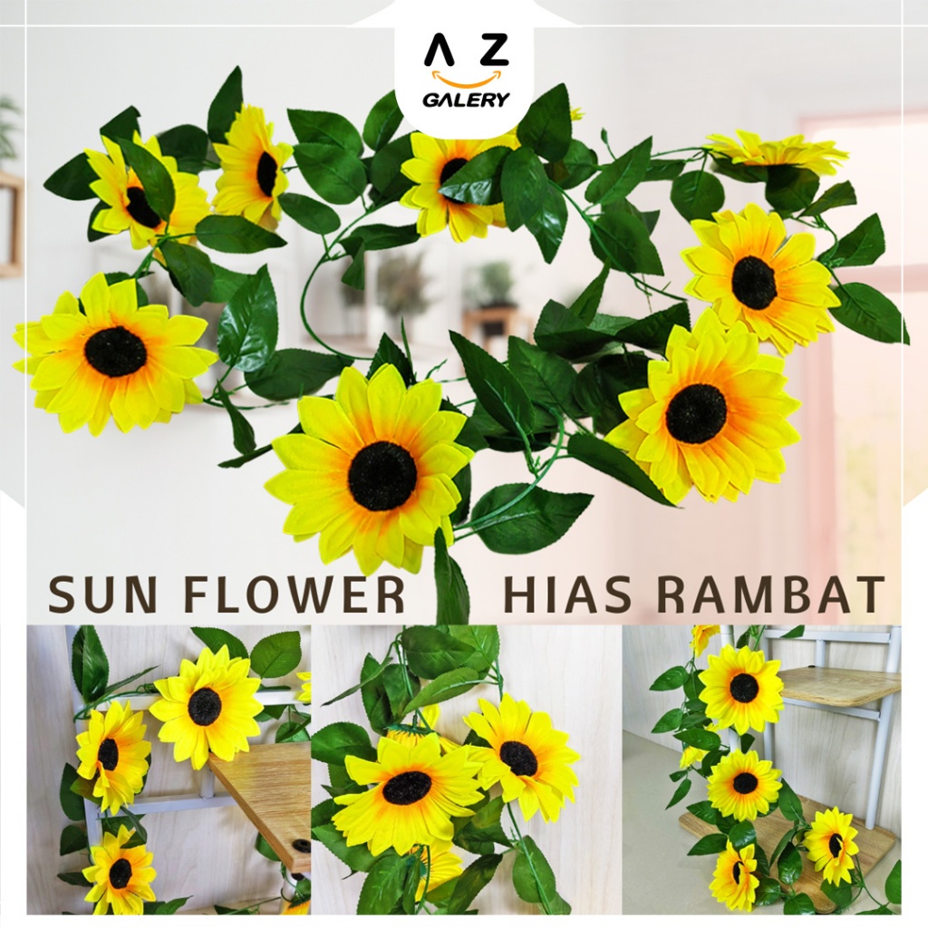 Jual Bunga Rambat Matahari Tanaman Hias Sunflower Dekorasi Juntai ...