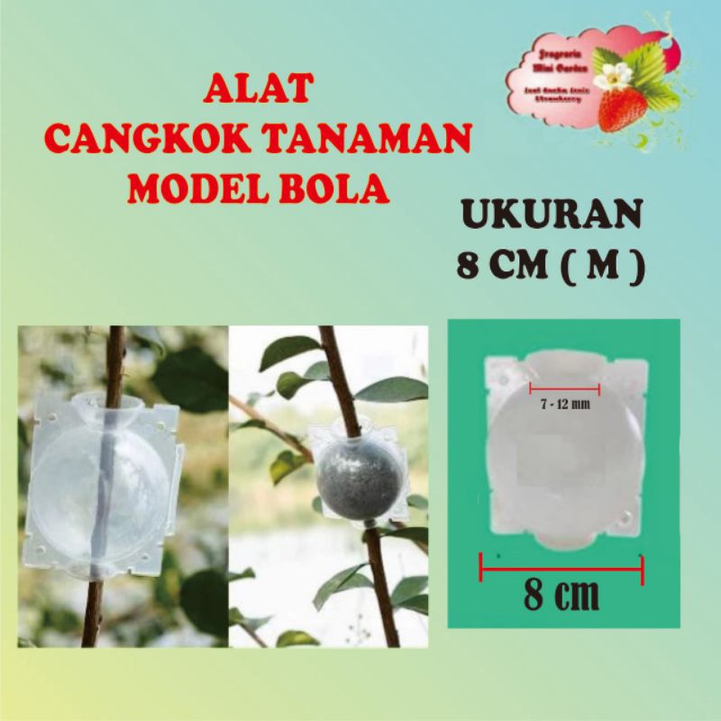 Jual ALAT CANGKOK TANAMAN MODEL BOLA UKURAN 8 CM ( M ) | Shopee Indonesia