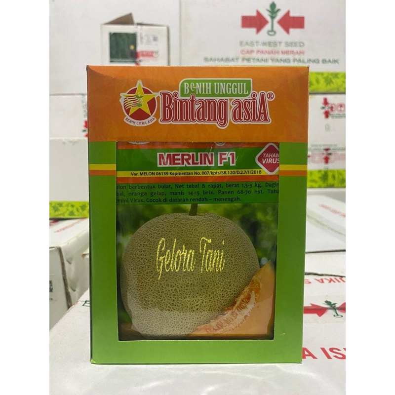 Jual BENIH MELON ORANGE MERLIN 20GR | Shopee Indonesia