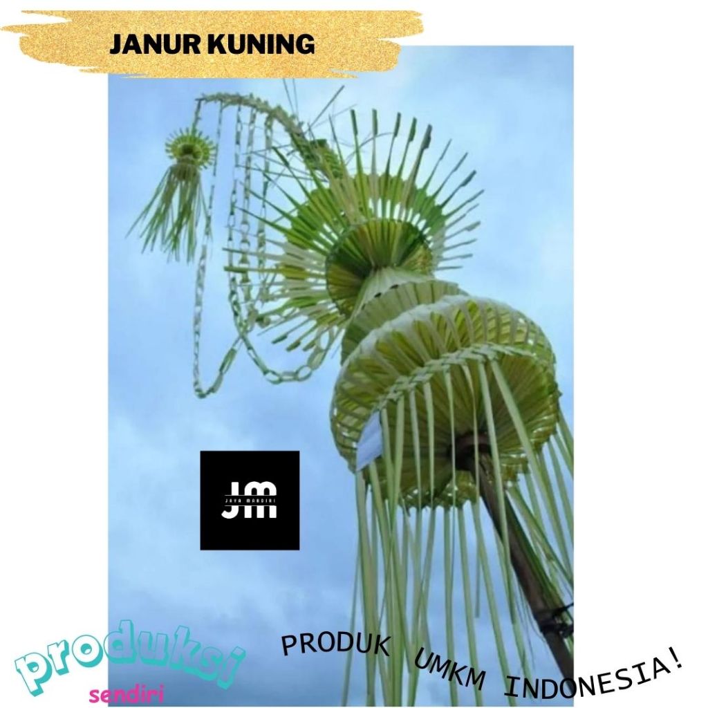Jual janur kuning pernikahan /janur kuning asli /layur | Shopee Indonesia