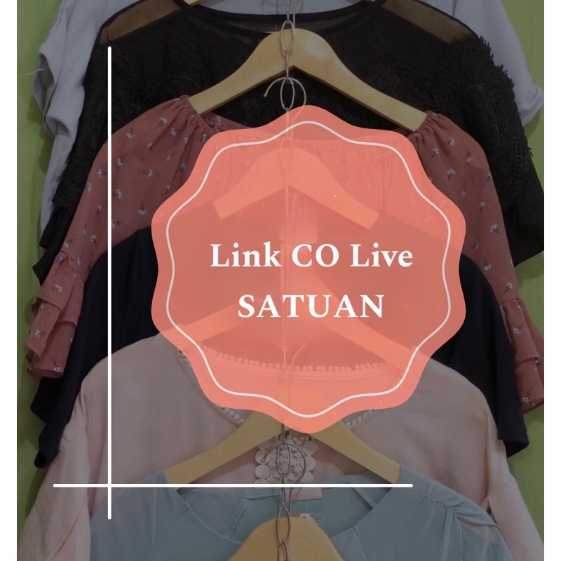 Jual [2 kg] Link CO 1 - 10 pcs | Shopee Indonesia