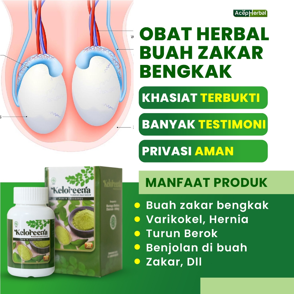 Jual Obat Buah Zakar Bengkak Sebelah Kanan Kiri Varikokel di Buah Zakar ...
