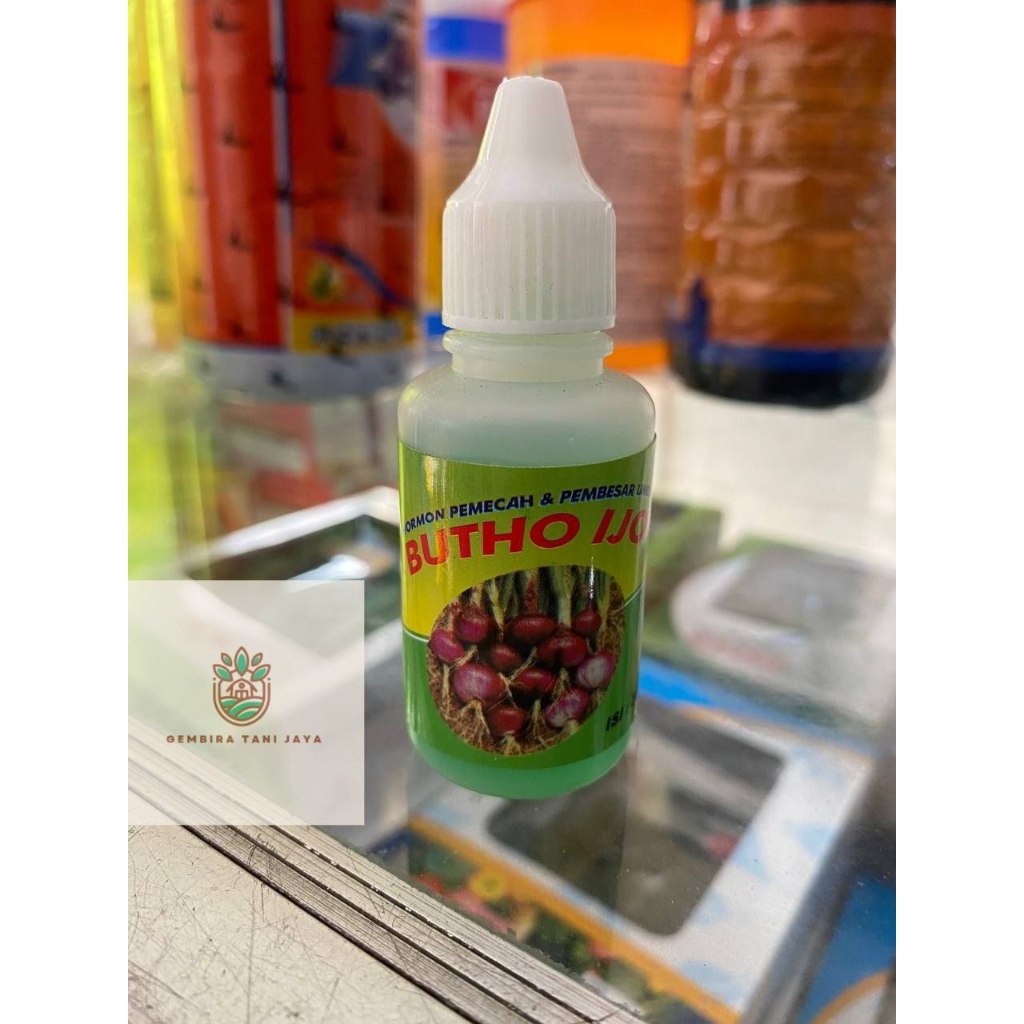 Jual butho ijo hormon pemecah dan pembesar umbi | Shopee Indonesia