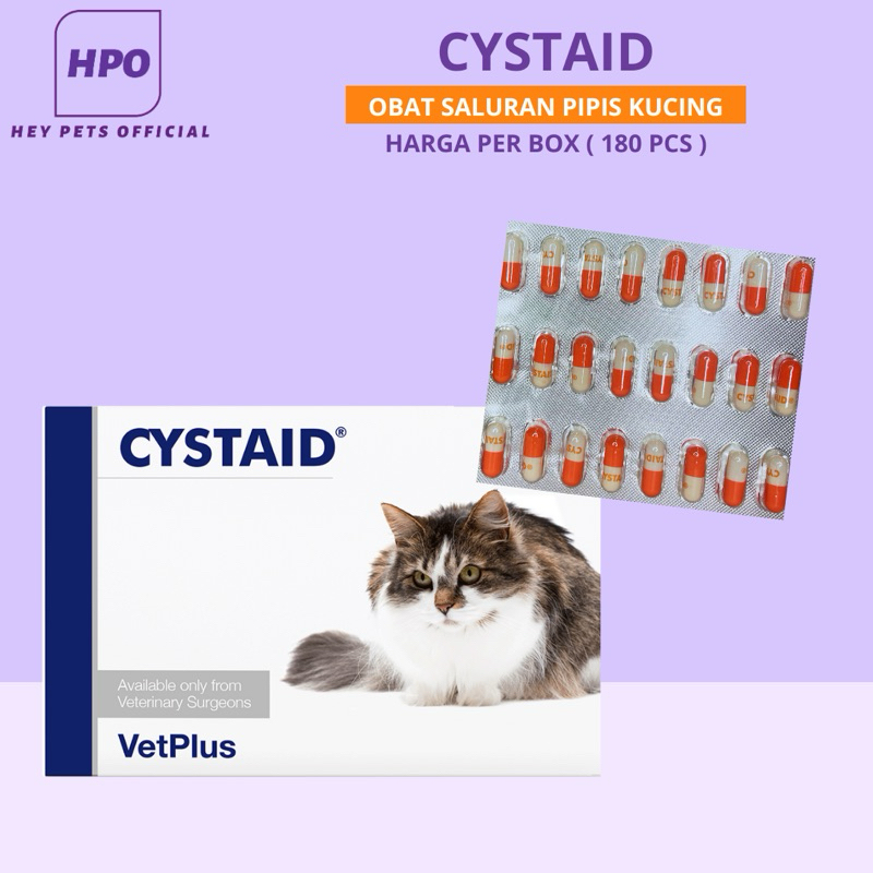 Jual Cystaid Plus CystaidPlus Kapsul Obat Gangguan Saluran Kencing ...
