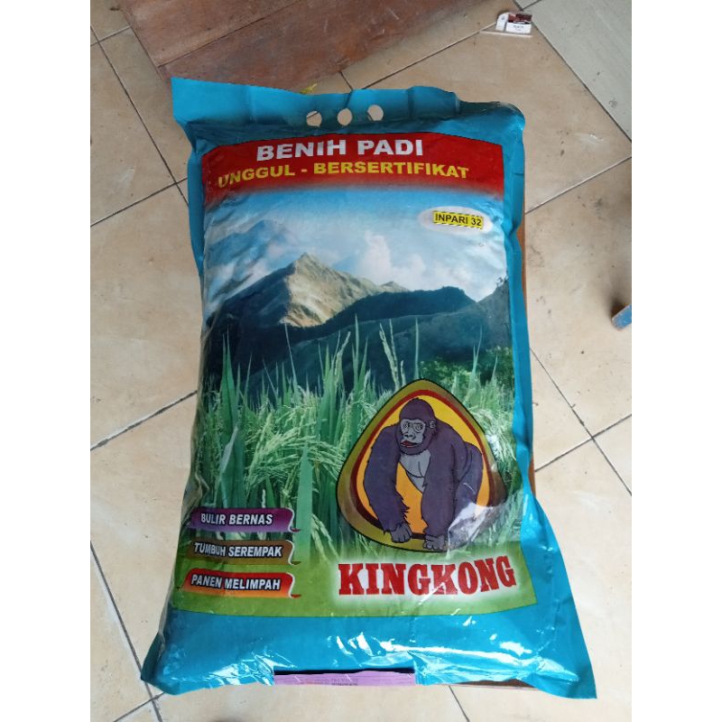 Jual Benih padi Inpari 32 kingkong kemasan 5kg | Shopee Indonesia