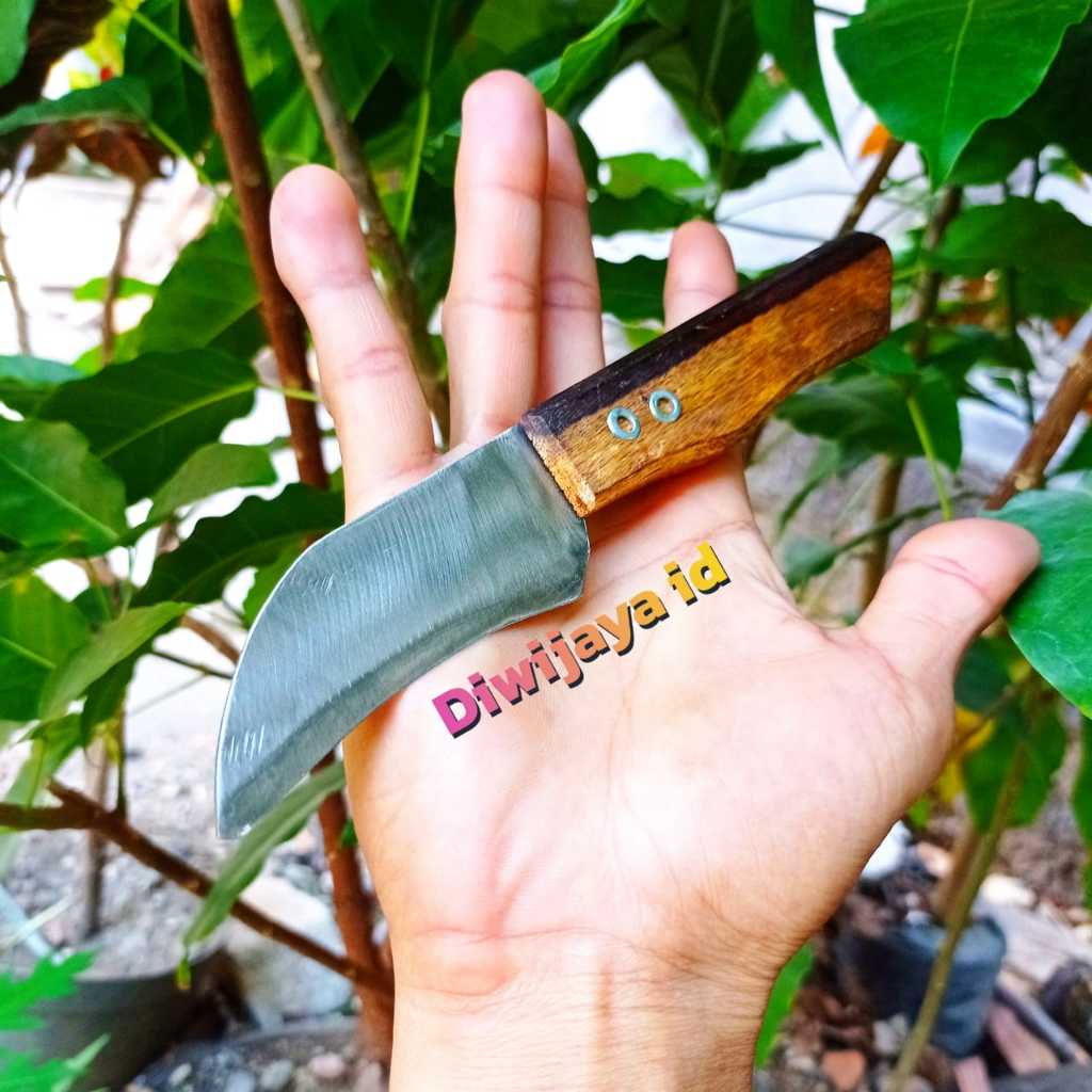 Jual Lengkung Grafting tool Pisau Okulasi Pruning Tanaman Bonsai ...