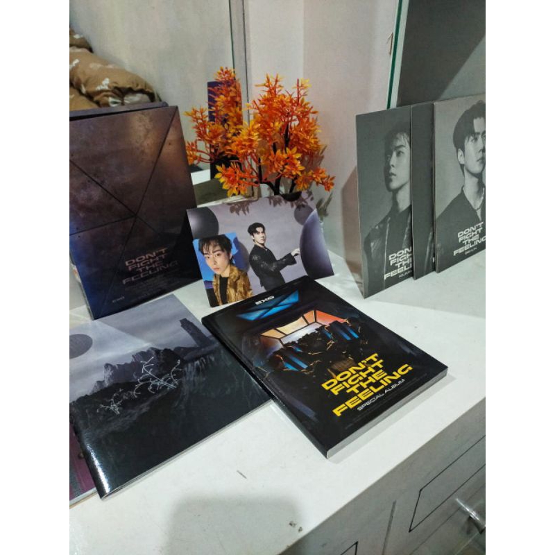 Jual ALBUM EXO DFTF PART 1 & EXPANSION KYUNGSOO | Shopee Indonesia